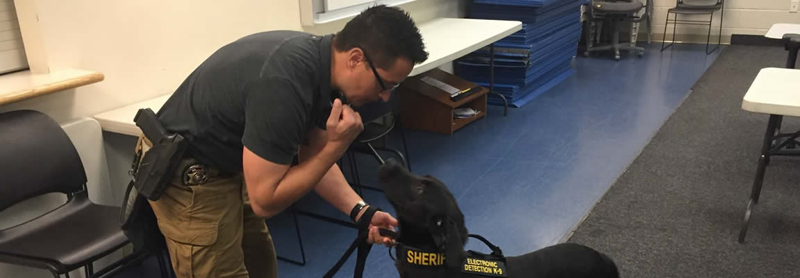 Weber County Sheriff - Enforcement